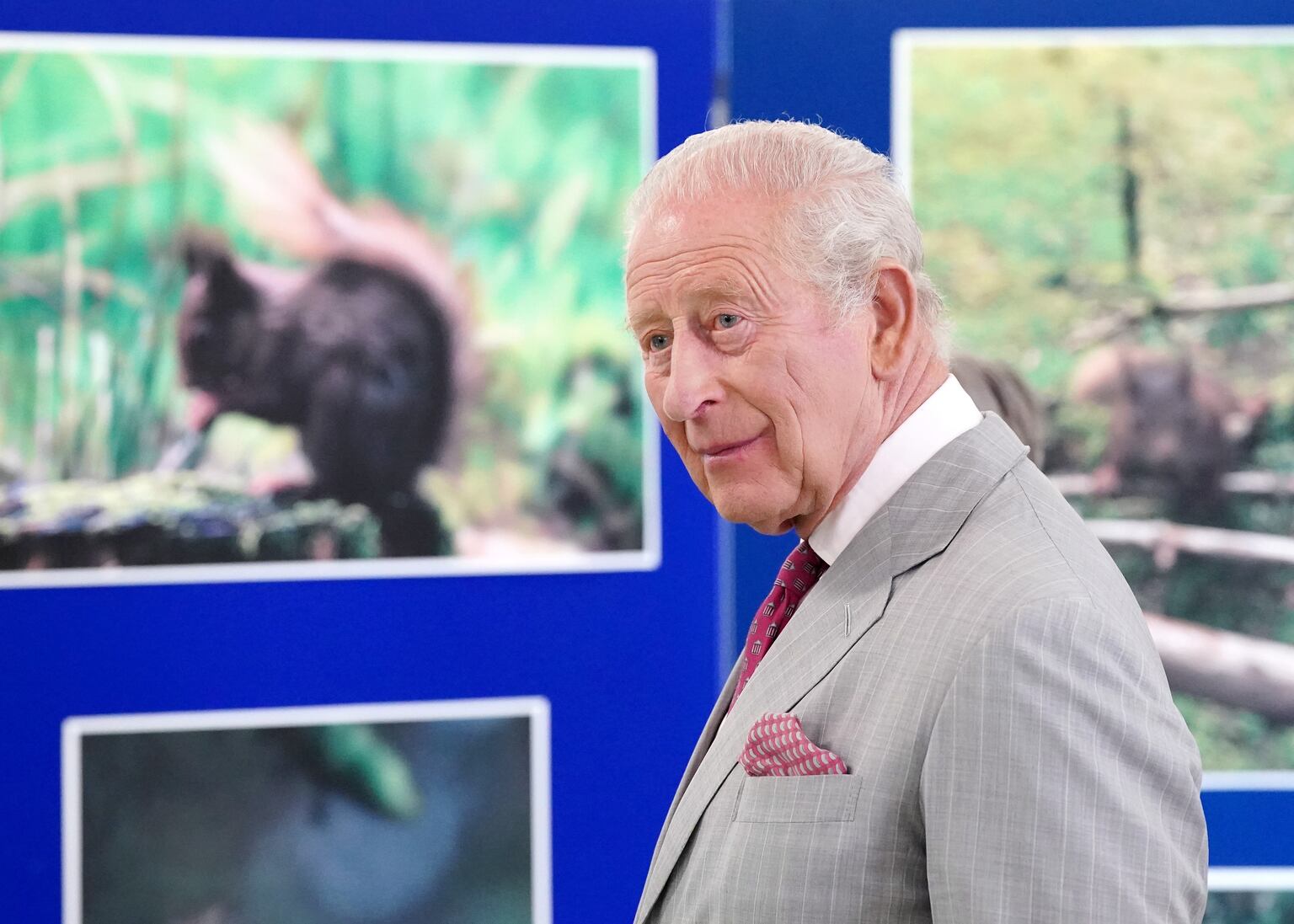 King praised for his understanding of 'harmony with nature' at squirrel ...