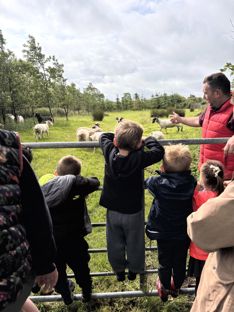 A farm for everyone in the heart of Ballymoney: Lislagan invites the ...