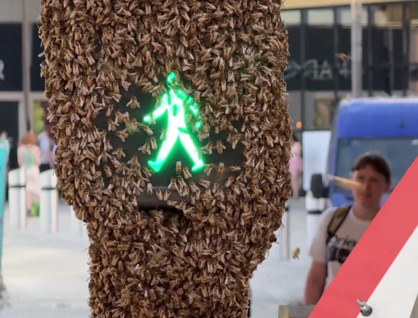 Giant swarm of bees engulfs crossing outside busy train station