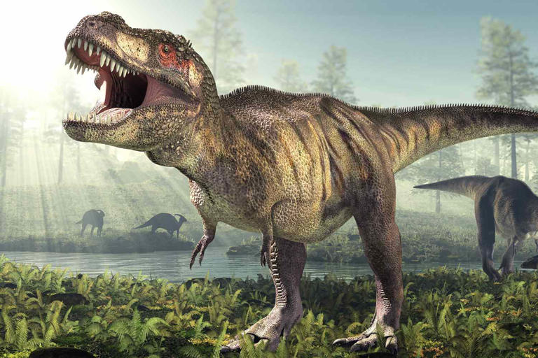 Ever wondered why the T rex had such small arms? Scientists may have ...