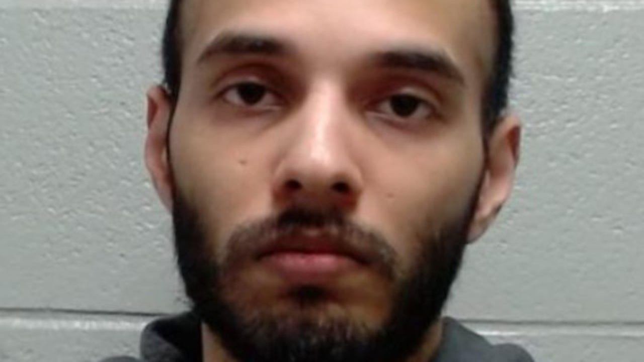 Suburban Chicago man pulled gun on officers during traffic stop, police say