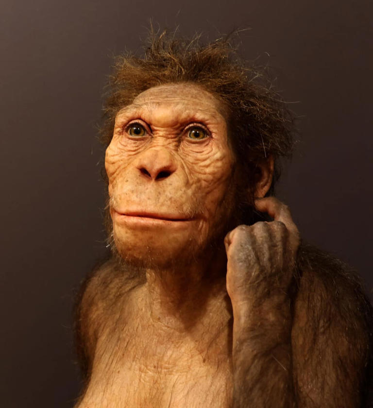 Scientists found a one-meter rock in South Africa, inside was a near ...