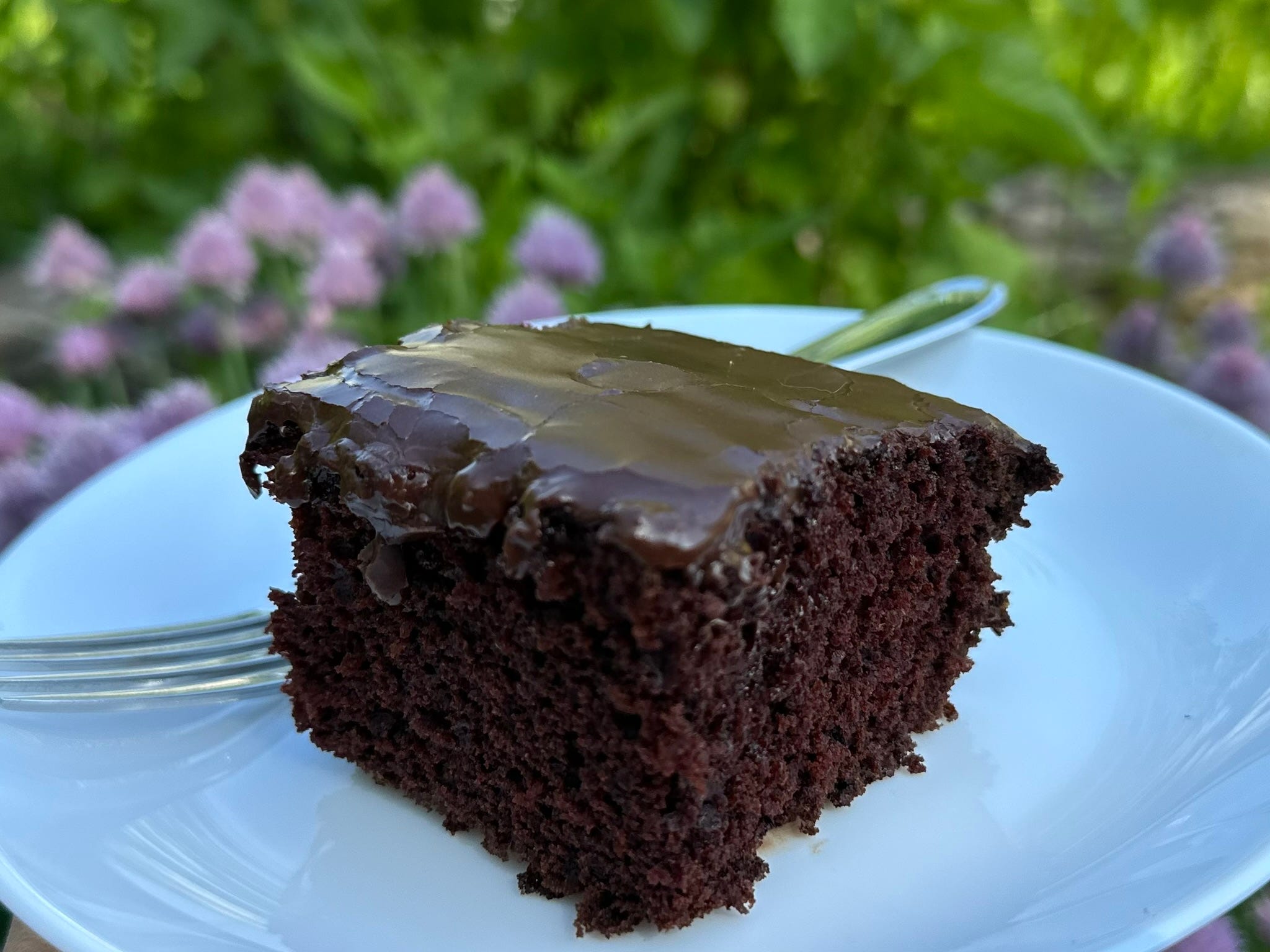 Chocolate vinegar cake for summer celebrations | Vegan column
