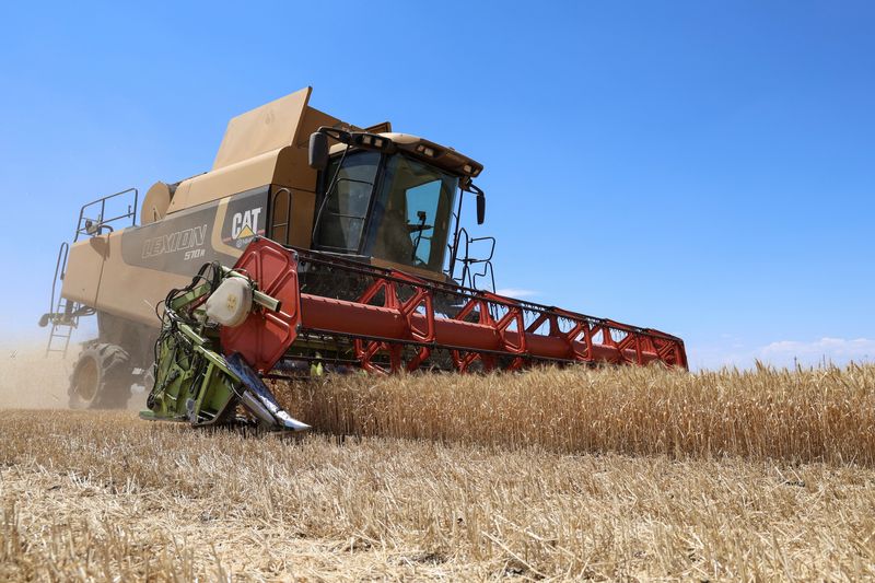 Ukraine 2026 wheat crop seen at 22-23 million tons, farmers union says