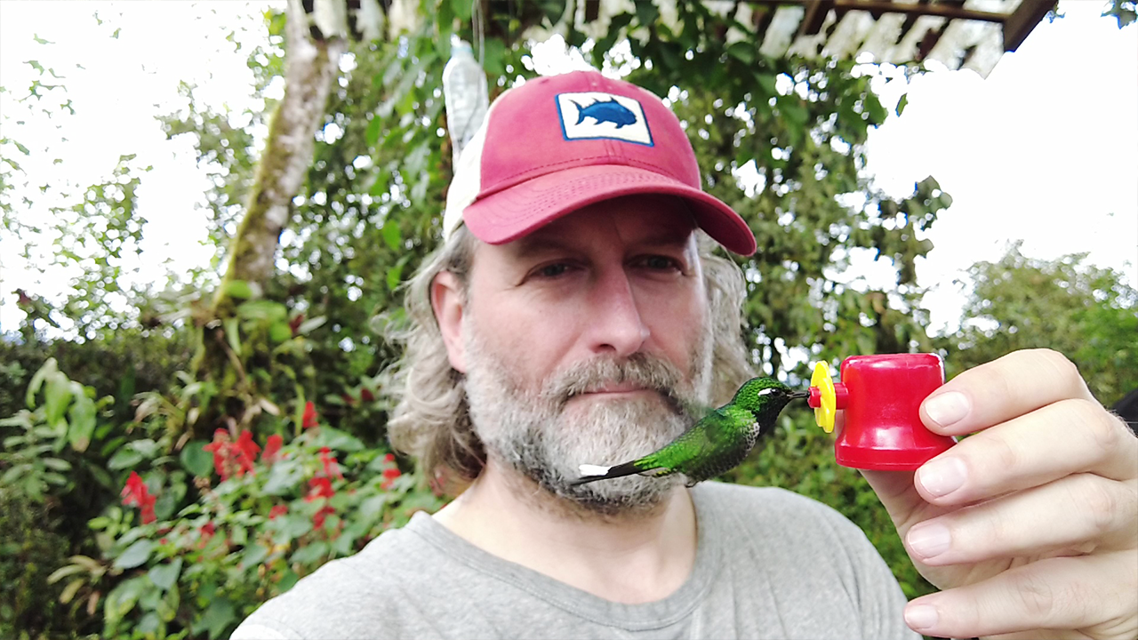 Stunning Slow Motion Footage of a Hummingbird Eating from a Mans Hand