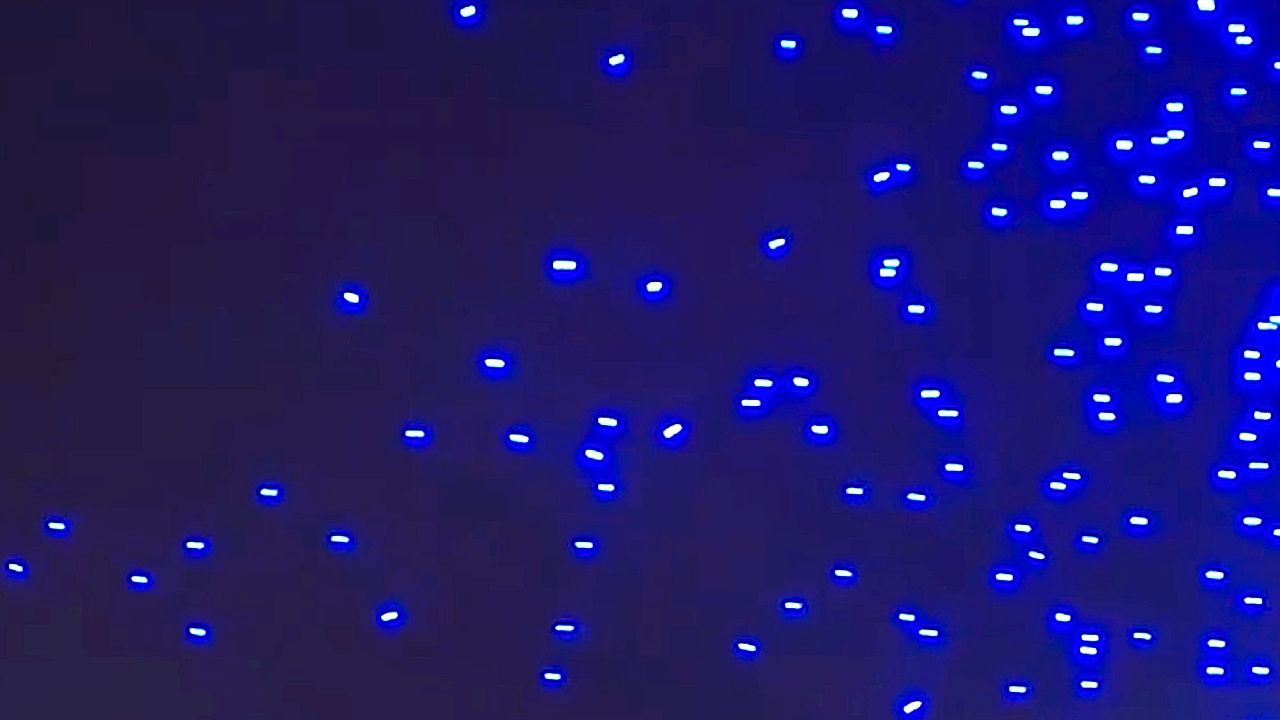 Drones plunge into Sydney Harbour during light show malfunction