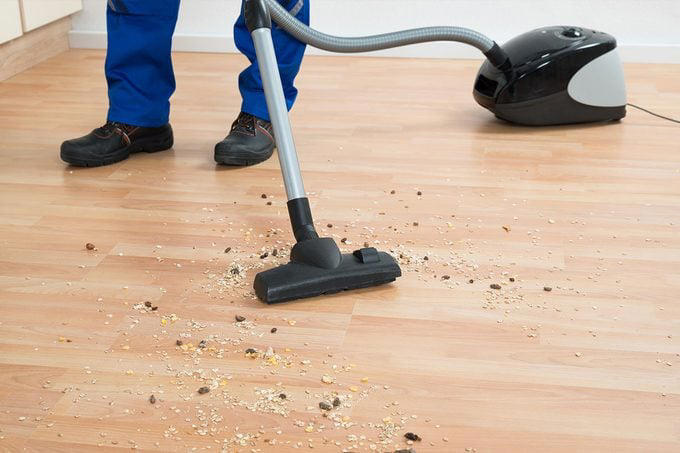 Here’s why you should never sweep mouse droppings