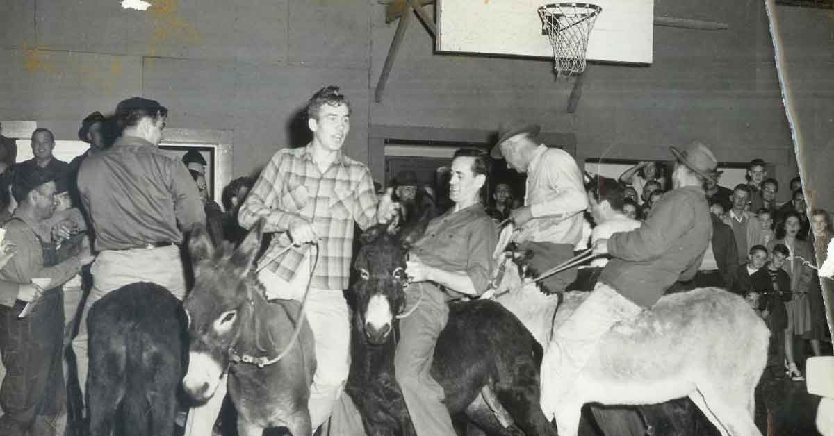 Donkeys playing basketball, 20 vintage photos of a real PE class tradition