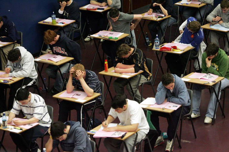 Warning issued to Leaving Cert students over AI generated exam predictions