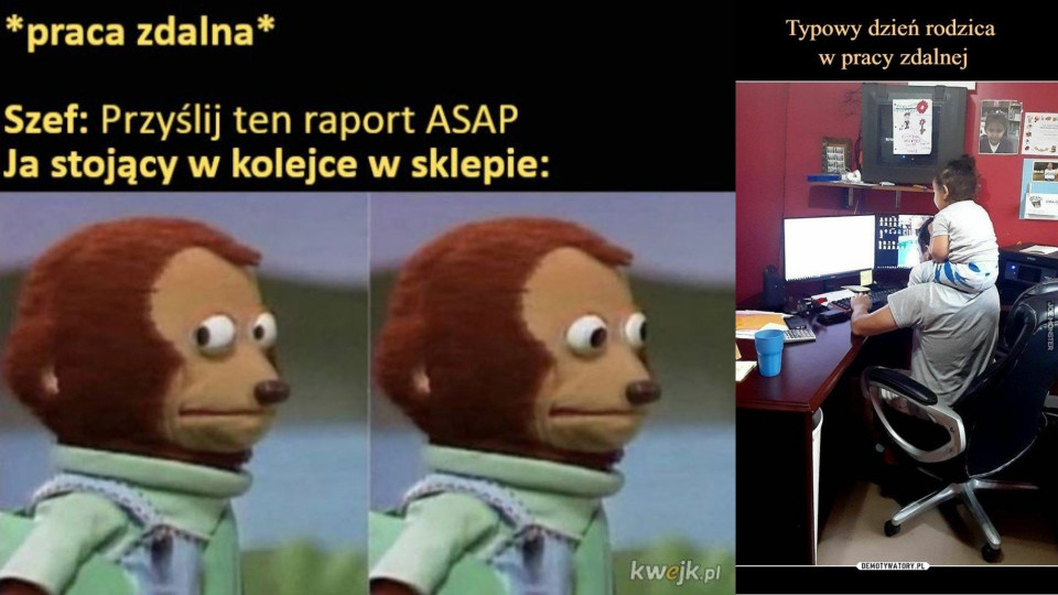 Home office oczami internetu. Oto najlepsze memy o pracy zdalnej! [26. ...