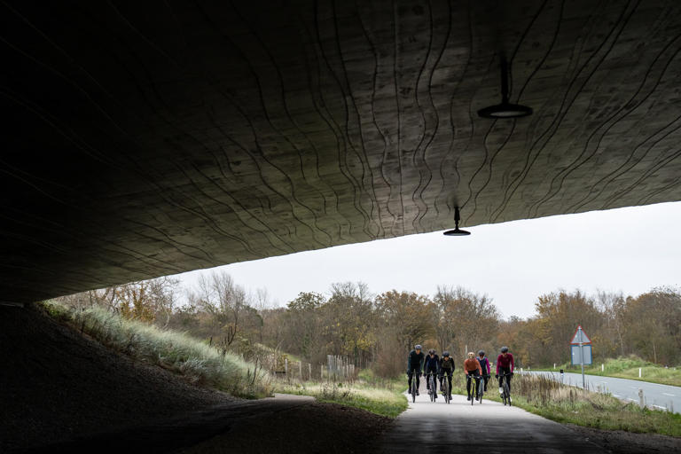 6 wetenschappelijk bewezen manieren om fietsend meer vet te verbranden