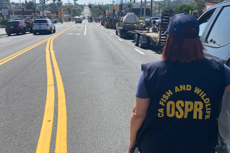 Extensive cleanup underway after oil spill from pipeline in LA