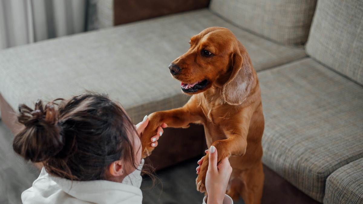 These are the 10 personality types that connect more with dogs than cats