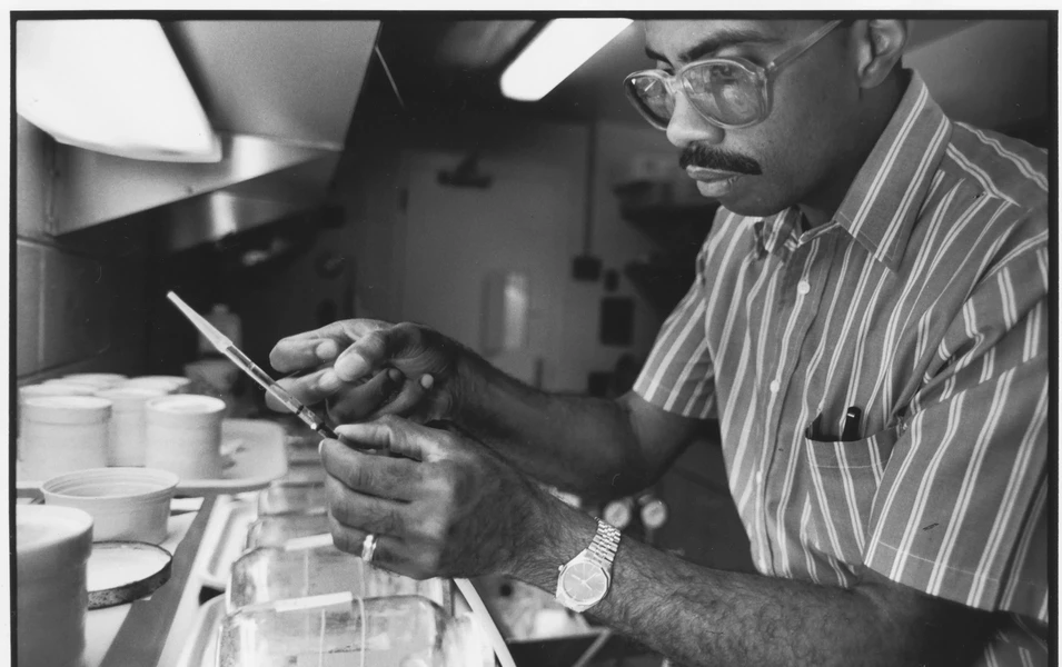 Beetle unseen since 1933 found alive in Louisville lab