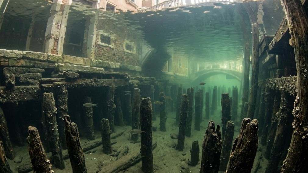 Venice has survived 1,500 years on wooden foundations - now it faces ...