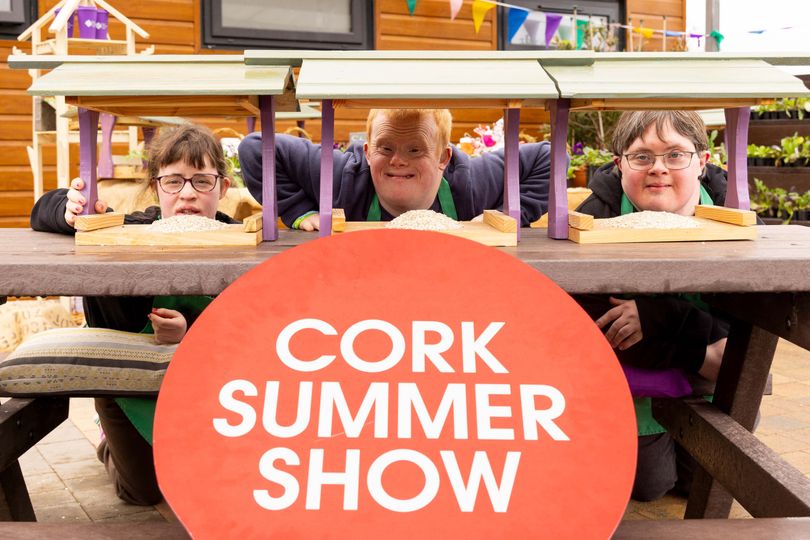 Animals, activities and live music as Cork Summer Show announces ...