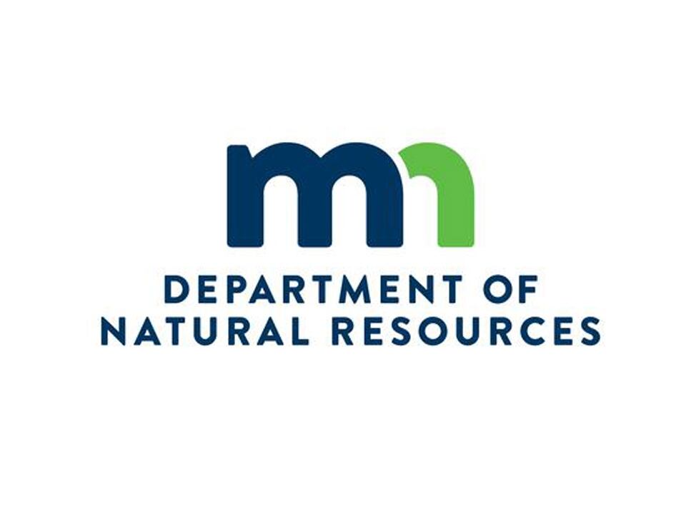 Phase one of new electronic licensing system to launch in June