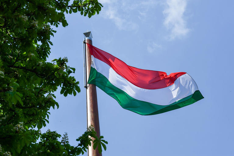 Hungarian central bank holds interest rates steady as expected