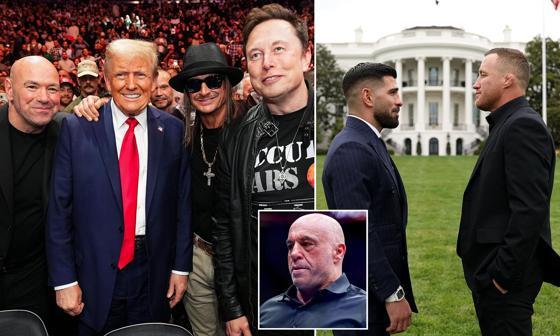 Trump fires back at Joe Rogan's criticism of UFC White House event amid ...