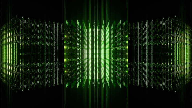 Randomization holds quantum coherence steady in noisy environment