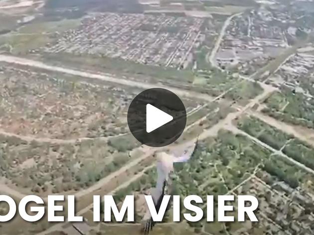 Video: Russische Drohne jagt Storch – Vogel trickst Verfolger aus