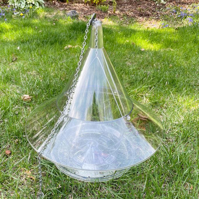 The best squirrel-proof bird feeders, plus 12 deterrent tips that ...