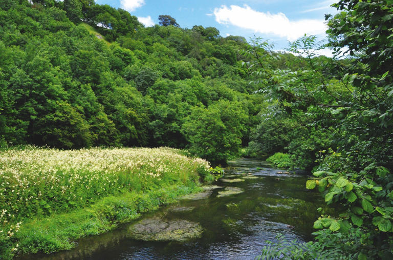 The 24 best summer walks in Britain, from riverside trails to pristine ...