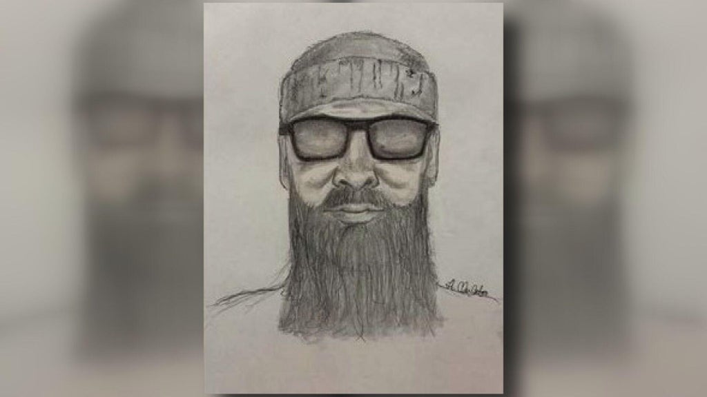 Police release sketch of man wanted in sexual assault at LaBagh Woods ...