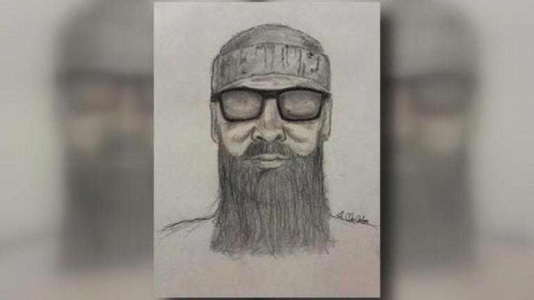Police release sketch of man wanted in sexual assault at LaBagh Woods ...