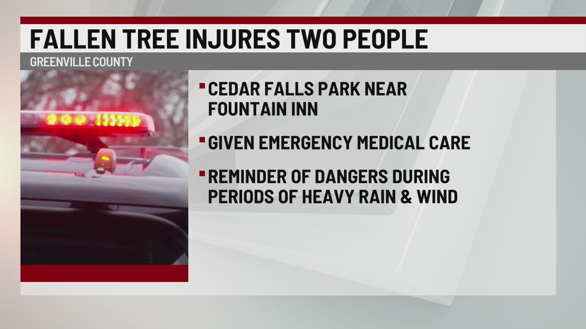 Falling tree injures 2 at Upstate park