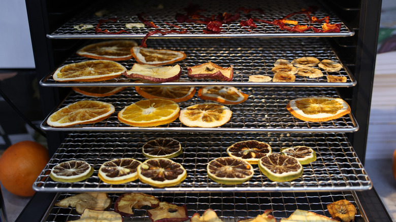 The best food dehydrators on the market, according to reviews