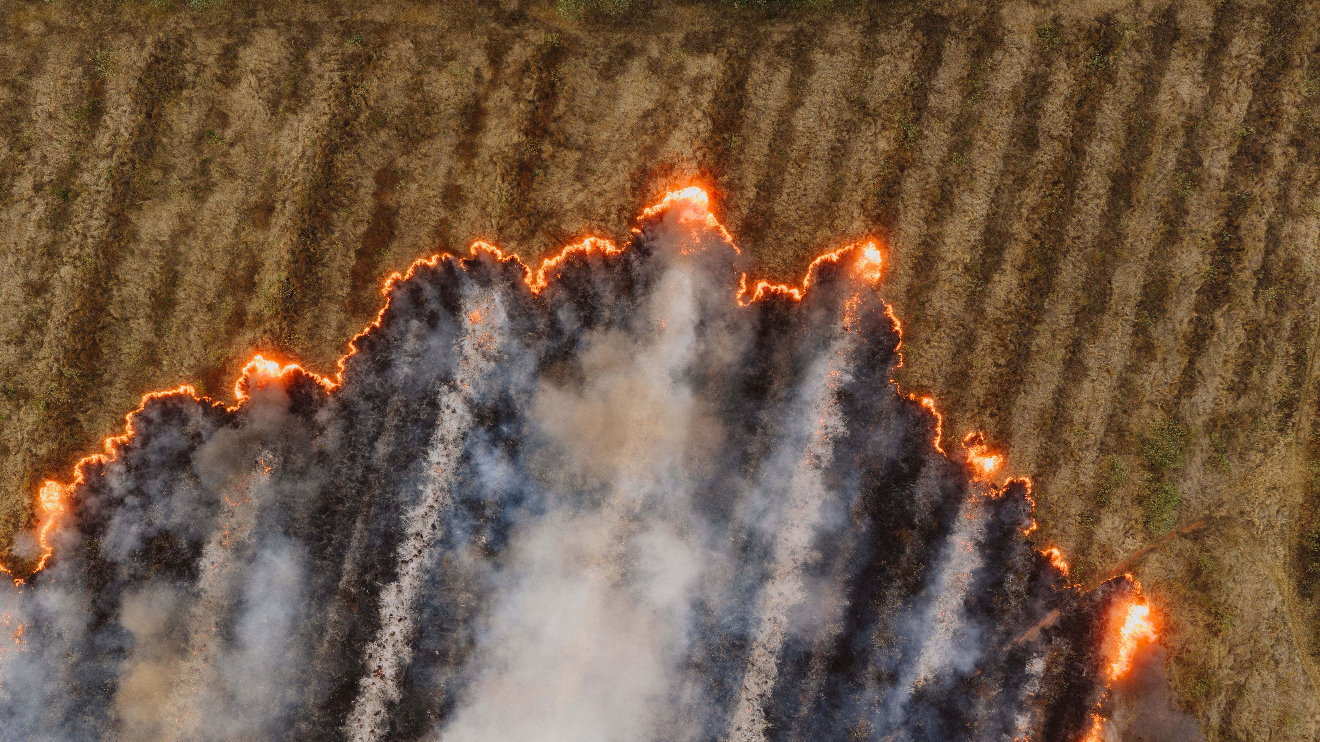 New Mexico declares state of emergency as wildfires grow