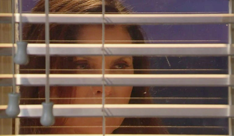 Mysterious roommate: Who is living with Bold & Beautiful's Sheila?