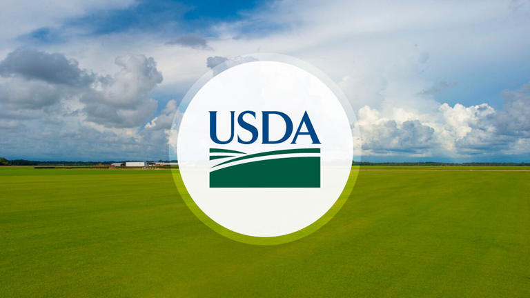 USDA accepting applications for rural business development grants