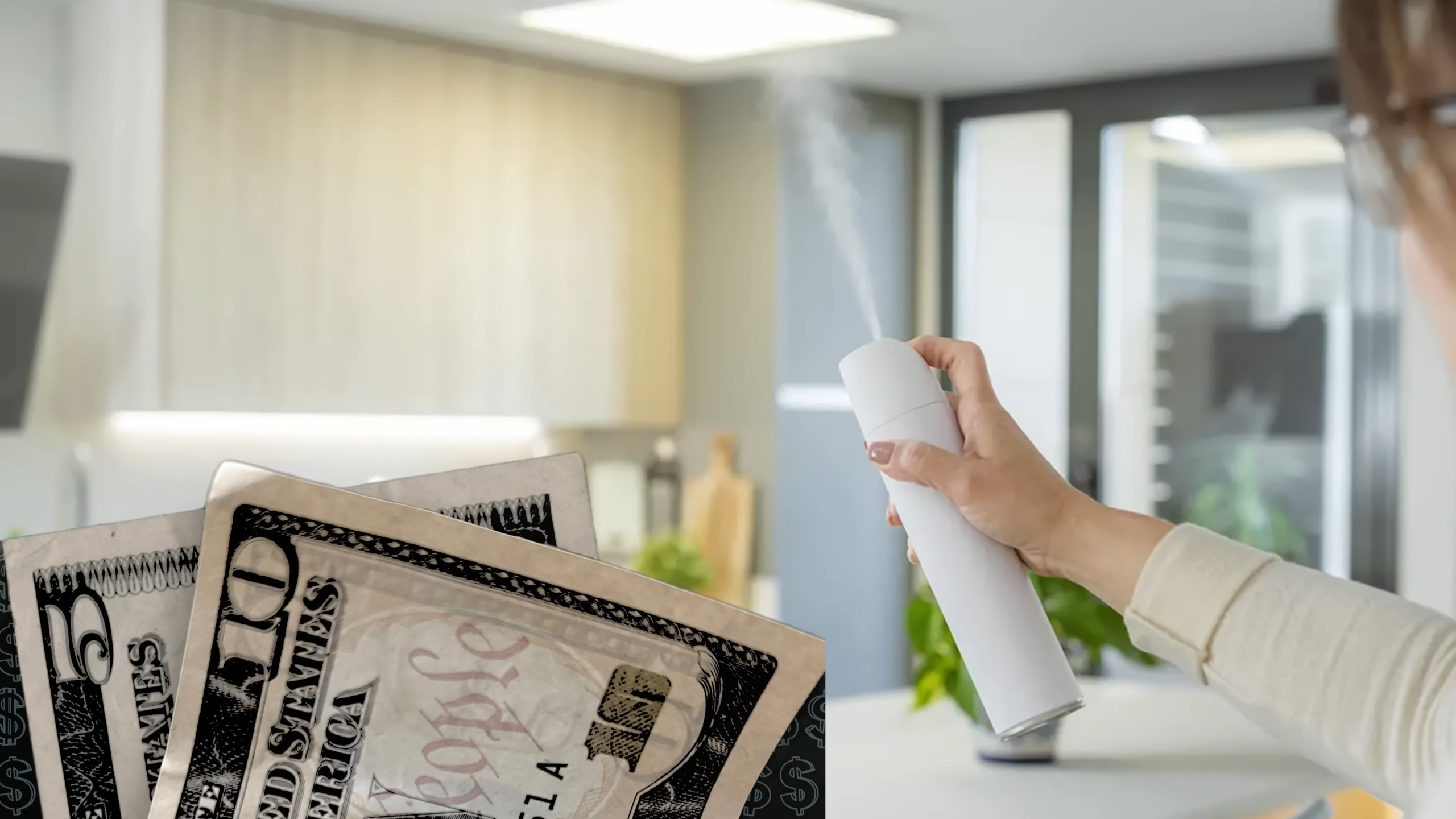 The $12 air purifier that recharges in sunlight