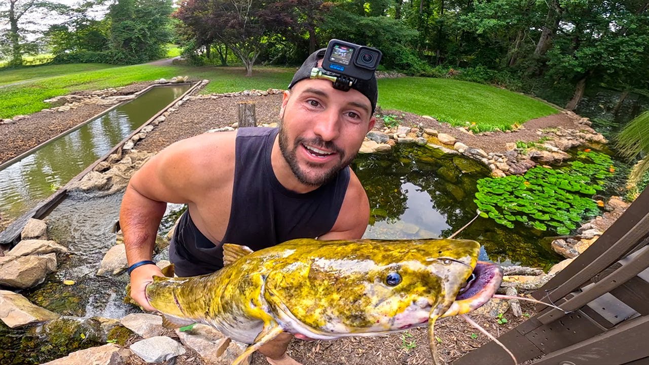 I put a giant catfish in my friend’s backyard pond as a prank