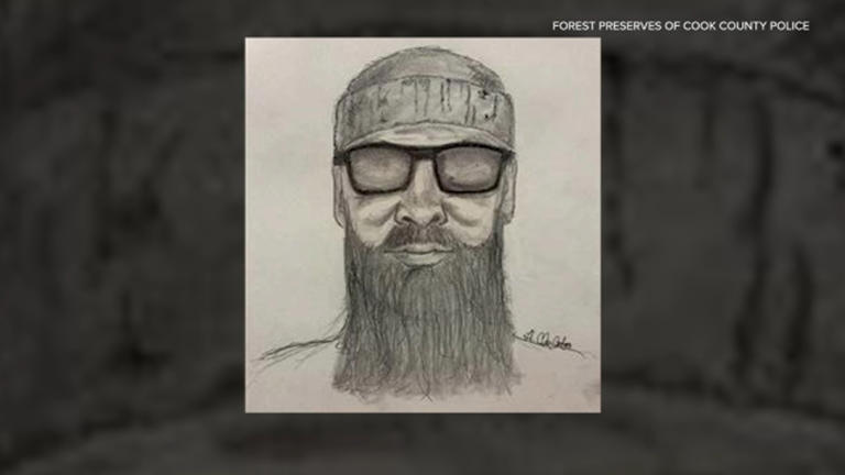 Police release sketch of sexual assault suspect at Chicago's LaBagh Woods