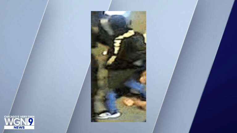 Police seek to identify person wanted in connection with South Side ...