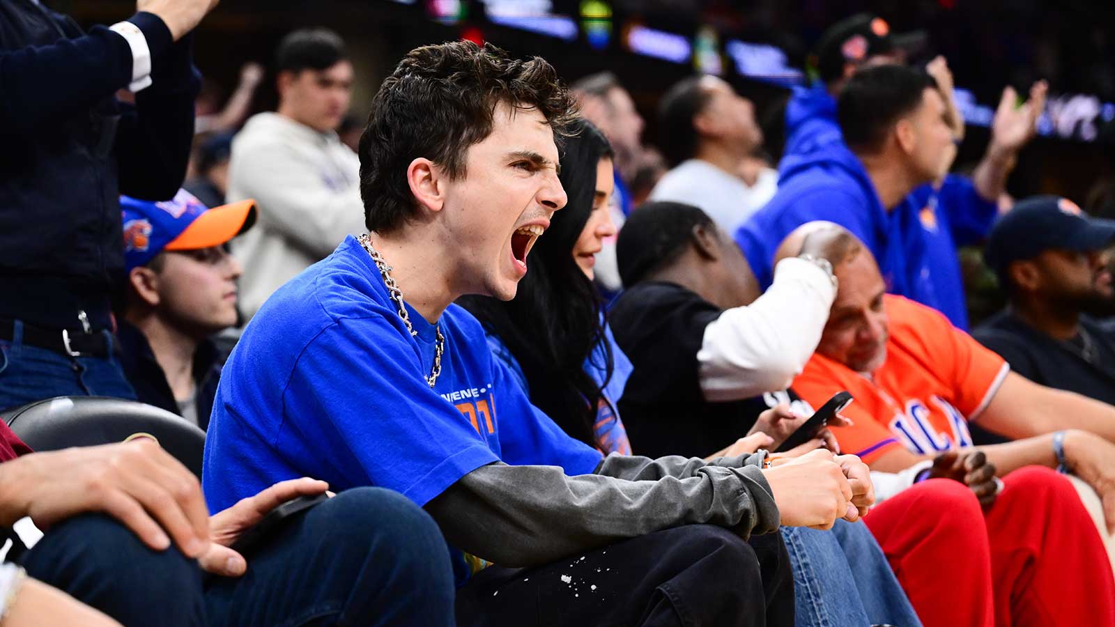 Knicks superfan Tina Fey finally speaks out on Timothée Chalamet ...