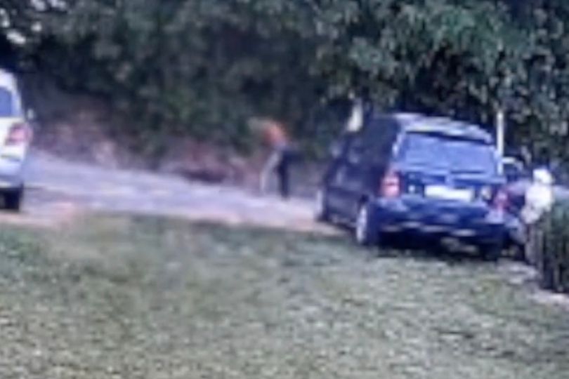 Harrowing moment man kills 'rabid beaver' after it 'charged and bit' him