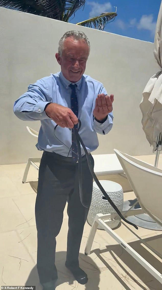 RFK Jr catches two snakes with his bare hands while his wife Cheryl squeals