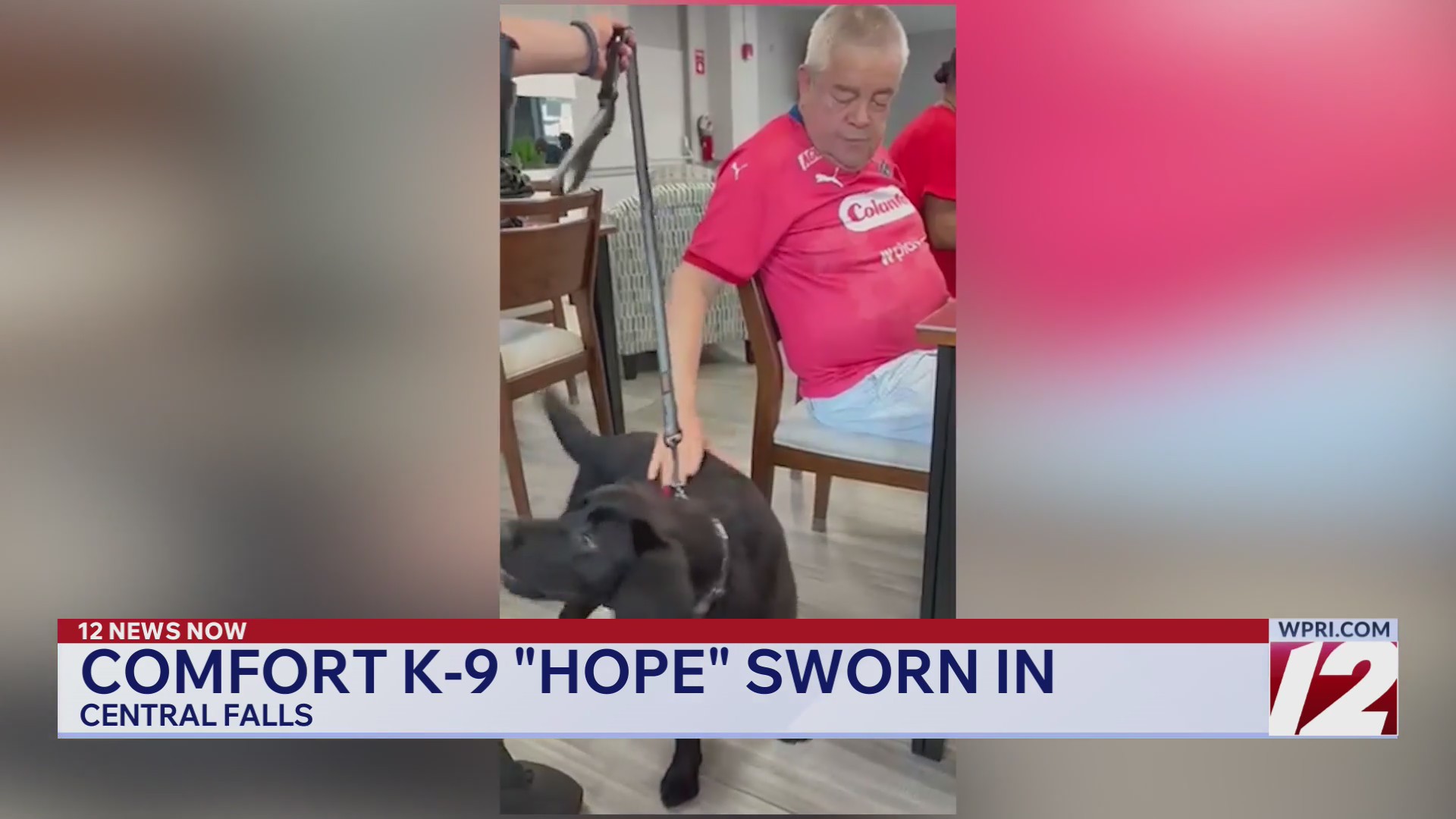 Central Falls swears in city's first-ever comfort dog