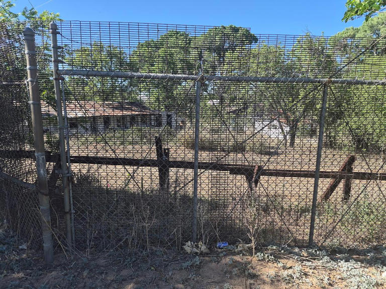 Rancheros temen perder histórica convivencia entre Sonora y Arizona por ...
