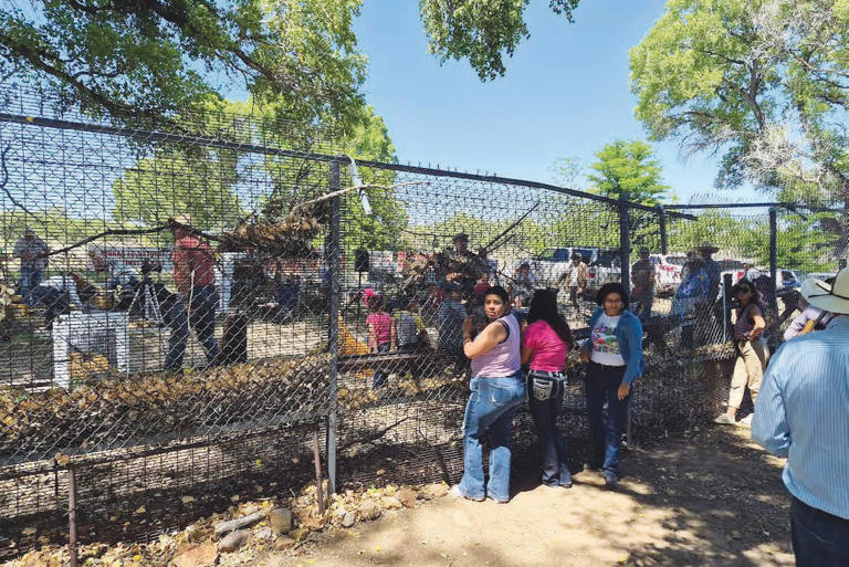 Rancheros temen perder histórica convivencia entre Sonora y Arizona por ...