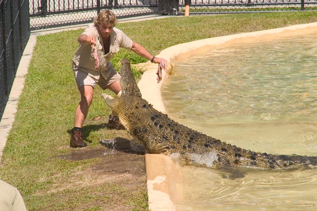 Terri Irwin shares which animal made Steve Irwin feel uneasy
