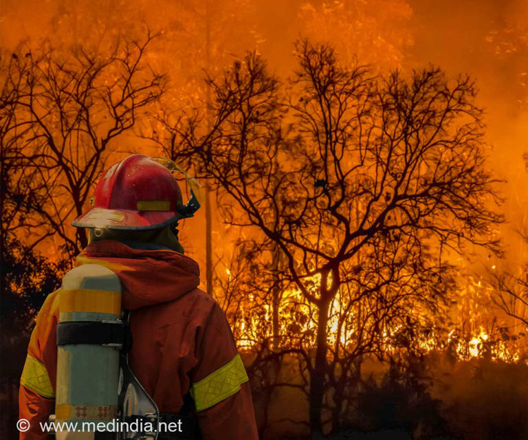 Ancient wildfires preserved in Permian coal reveal clues to Earth's ...