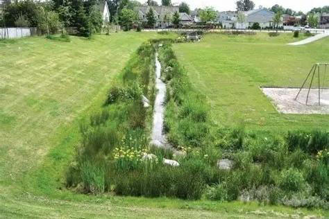 Alterations, installations and a bioswale! All the latest Mansfield plans