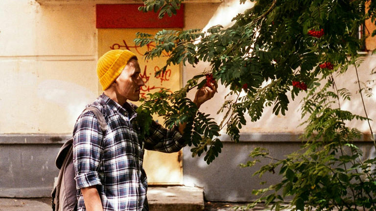 Urban foraging: So sammelst du Wildkräuter in der Stadt