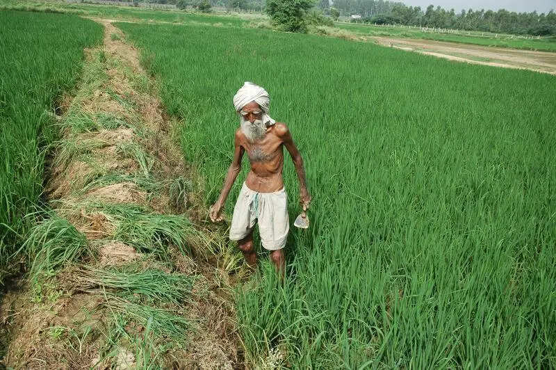 Only 31% groundwater in Haryana suitable for high-quality irrigation ...