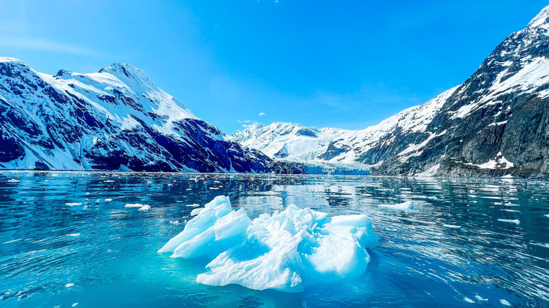 The most common mistakes people make on a cruise to Alaska